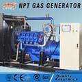 China Customized CE 150kW generator propane powered for sale for sale