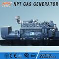 China CE approved 800 kw generator sygas power generation for sale