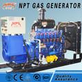 China Customized silent 200kw wood gas generator price for sale