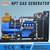 China Customized 300 kw biomass energy power plant with generator for sale