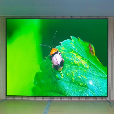 Cina Disegno personalizzato LED video pareti per un aspetto elegante sofisticato 100 anni di vita in vendita