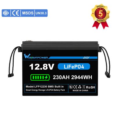 China Solar 12V 24V 48V 51.2V LiFePO4 Battery Pack 100AH 230AH 280AH 314AH for sale