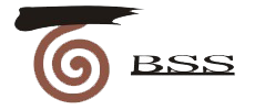 Beijing Stars Stone Co., Ltd