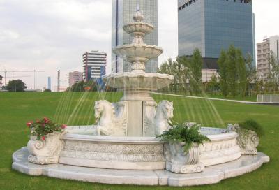 Cina Fontana dello stagno di acqua con la scultura di Lion Statue Odm Stone Carving in vendita