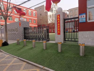 China Stainless Steel Automatic Rising Bollards Customer Required Voltage Fast Shipping for sale