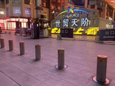 China Stainless Steel Automatic Rising Bollards Customer Required Voltage Fast Shipping for sale