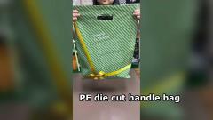 Colorful Printed PE Die‑Cut Handle Bag, Thank You Plastic Shopping Bag, Custom Printed Retail Mercha