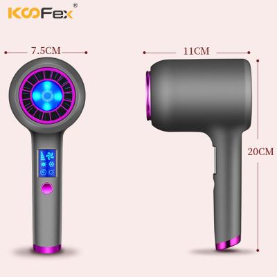 Cina l'esposizione LCD negativa del fon della famiglia degli ioni 1300W increspa la prova in vendita