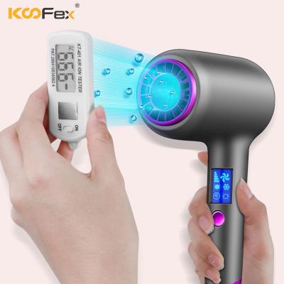 Cina l'esposizione LCD negativa del fon della famiglia degli ioni 1300W increspa la prova in vendita