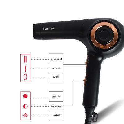 Cina Negazione pratica portatile del fon del motore della casa BLDC ionica in vendita