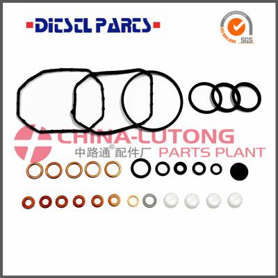 China Bosch Fuel Pump Repair 2 447 010 004 For Injector Pump Rebuild for sale