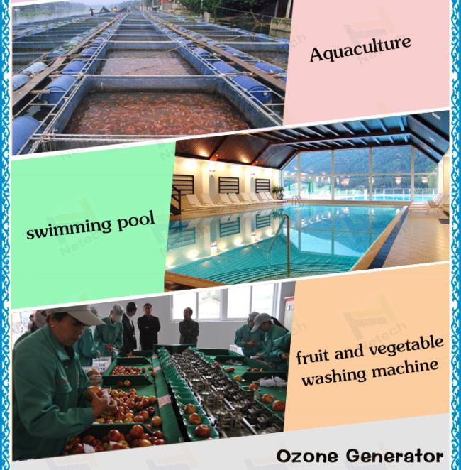 40g - 100g 水産養殖のための大型オゾン発電機オゾン給水系統
