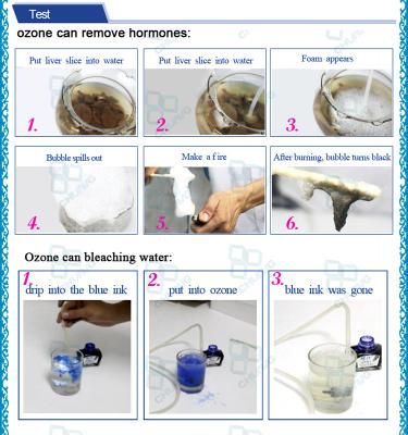 Cina Pompa idraulica dispositivo Venturi dell'acqua di pesca/delle acque reflue PVDF per la macchina dell'ozono in vendita