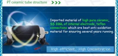 Cina l'iso 30g ventilano e la metropolitana a macchina delle parti/ozono ceramico del generatore dell'ozono di raffreddamento ad acqua in vendita