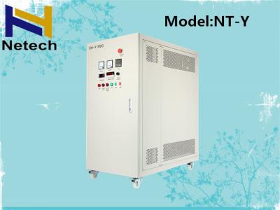 Cina ossigeno PSA della macchina 220V di trattamento delle acque dell'ozonizzatore/ozono dell'acqua 100g/h in vendita