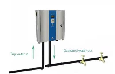 Cina Depuratore di acqua dell'aria del generatore 10g dell'ozono dell'acqua di acquacoltura per la sterilizzazione in vendita