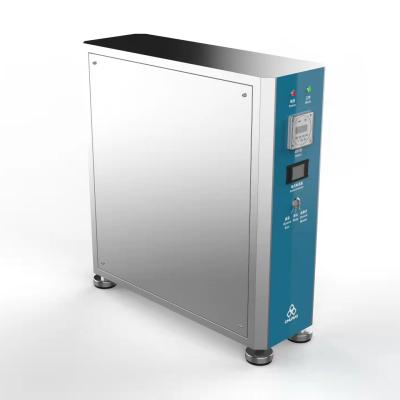 中国 殺菌のための水産養殖水オゾン発電機10gの空気水清浄器 販売のため