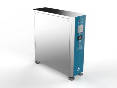 中国 殺菌のための水産養殖水オゾン発電機10gの空気水清浄器 販売のため