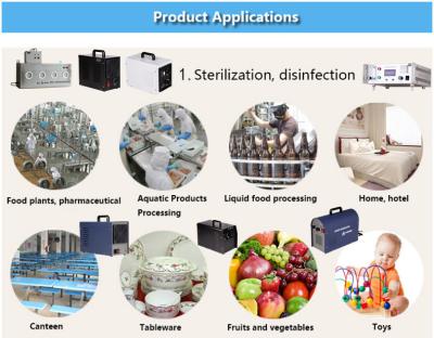 Cina ozono ionico Ionizer del purificatore dell'aria del generatore residenziale dell'ozono 5G per rimuovere iso di odori in vendita
