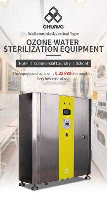 Cina il trattamento della piscina del generatore dell'ozono dell'acqua 0.5-1.5m3/H disinfetta i batteri in vendita