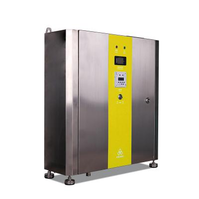Cina Generatore 1.5T/H 0.5ppm dell'ozono dell'acqua ISO9001 per il trattamento delle acque di trasformazione dei prodotti alimentari in vendita