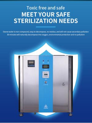 Cina controllo di sincronizzazione di circolazione di auto del generatore dell'ozono di trattamento delle acque 5ppm in vendita