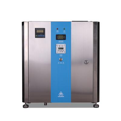 Cina Generatore 220V 50Hz dell'ozono della piscina del parco dell'acqua di natatorio in vendita