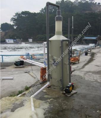 中国 システムを再循環させるRASの水産養殖のための海水の魚蛋白質の水産養殖オゾン発電機 販売のため