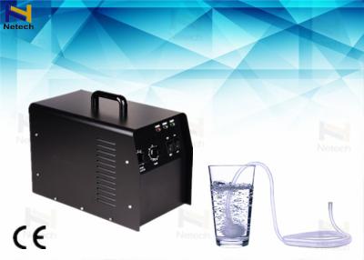 Cina generatore automobilistico elettrico 80W dell'ozono 220V con la metropolitana ceramica dell'ozono di elevata purezza in vendita