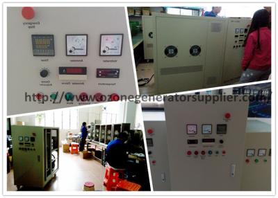 China De Zuiveringsinstallatie van het ozonwater voor Draagbaar Water voor Hotel en Gebotteld Water 40g 50g 60g Te koop