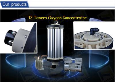 China Zuurstof Bronozongenerator voor de Concentrator van O2 van de de Industriewaterzuiveringsinstallatie Te koop