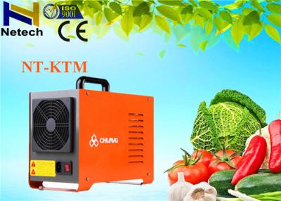 Cina generatore dell'ozono dell'alimento 5g per il frigorifero che tiene lavaggio fresco dell'alimento del generatore della carne 110V O3 in vendita