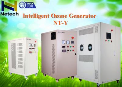 中国 110V大きいオゾン発電機20 -企業水のための200g理性的なオゾンGenertor 販売のため