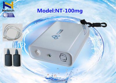 China 100mg van de het Ozongenerator 110V van de fruitgroente Geurvrije van de het Waterlucht de Sterilisatorozonisator Te koop