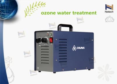 Cina Generatore commerciale 110V 3g 5g 6g 7g dell'ozono per il depuratore di acqua dell'aria con CE in vendita