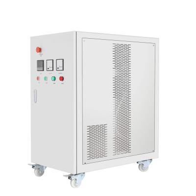 中国 20g/Hr水産養殖オゾン発電機酸化機械O3化学薬品の消毒器 販売のため