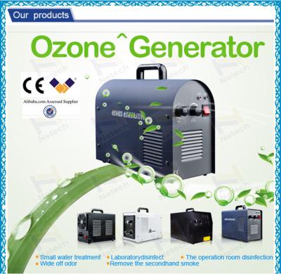 Cina Generatore Ultrapure dell'ozono della famiglia professionale, macchina dell'ozono dell'automobile/attrezzatura in vendita