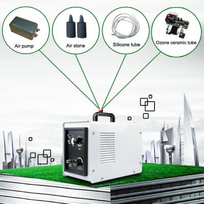 Cina Effetto corona commerciale Ultrapure del generatore dell'ozono in vendita