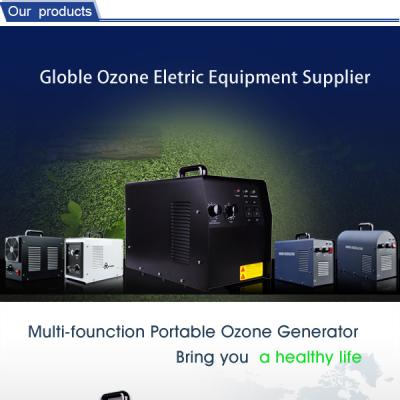 Cina Piccolo 3g/h - generatore 110V o 220V dell'ozono dell'alimento 7g/h per la sterilizzazione in vendita