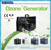 China Automotive ozone generator for sale