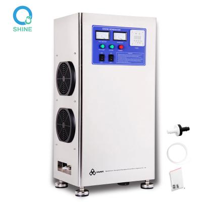 Cina ozone generator 10 g/h water treatment for drinking water swimming pool in vendita