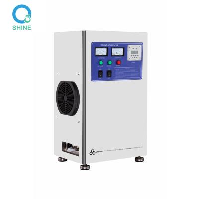 Cina ozone generator 10 g/h water treatment for drinking water swimming pool in vendita