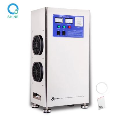 Cina ozone generator 10 g/h water treatment for drinking water swimming pool in vendita