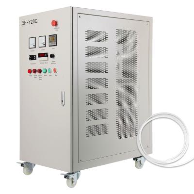 Cina 50g/h 100g/h Industrial Ozone generator water treatment systems in vendita