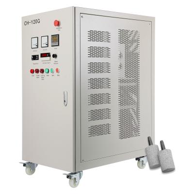 Cina In stock gas ozone generators portable 100g ozonizer for vegetables and fruits in vendita