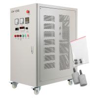 China Professional ozonizer water ozone generator for sale