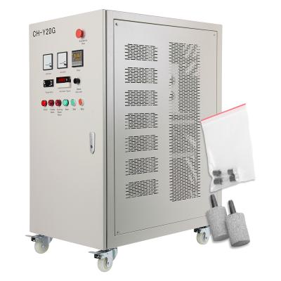 China Professional ozonizer water ozone generator for sale