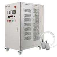 China Professional ozonizer water ozone generator for sale