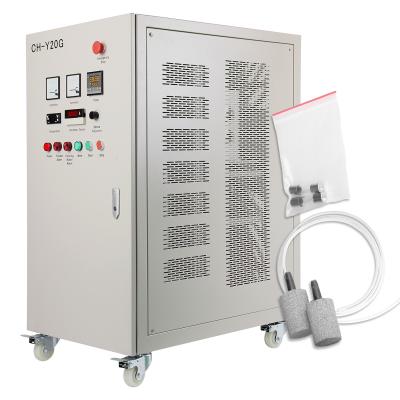 Cina In stock gas ozone generators portable 100g ozonizer for vegetables and fruits in vendita