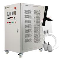 China Professional ozonizer water ozone generator for sale